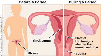 Signs of Being on Your Period | Menstrual Cycle Facts You Don’t KNOW