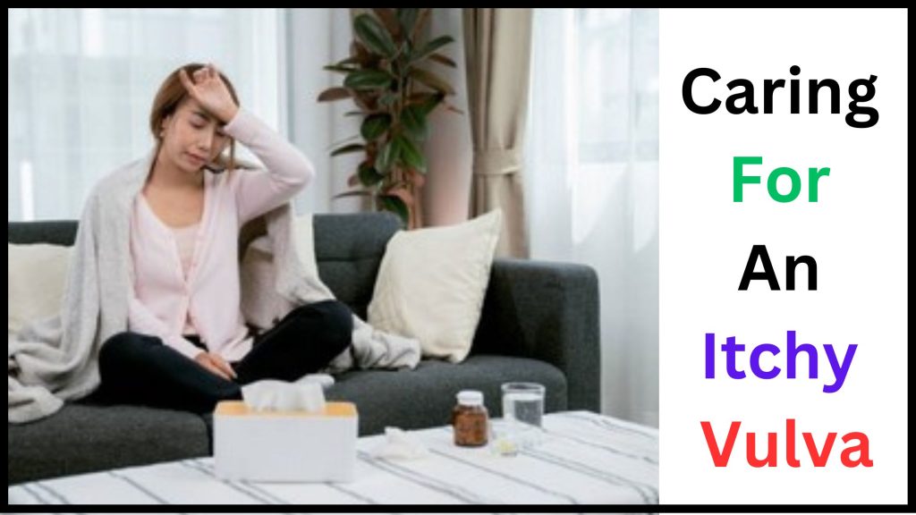 Why Is My Vulva Itchy: Causes, Symptoms, Prevention, & Treatment